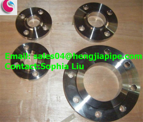 Stainless steel flanges with best price