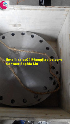 20” BLIND FLANGE RF150# A182 SS 304L