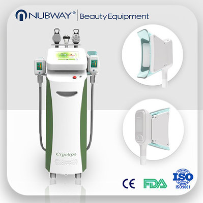 1800w strong power anti freezing cryolipolysis slimming machine on hot sale