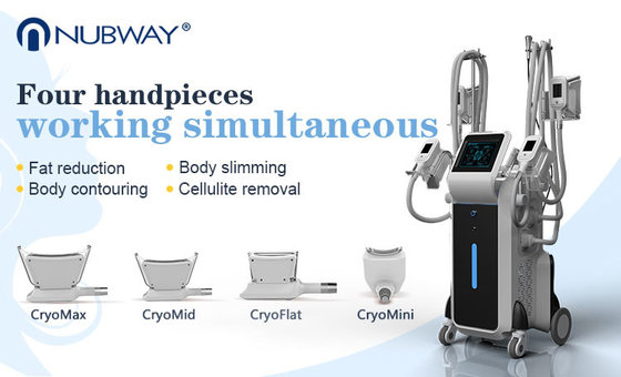 Cryolipolysis fat freeze slimming machine 3d cryolipolysis machine