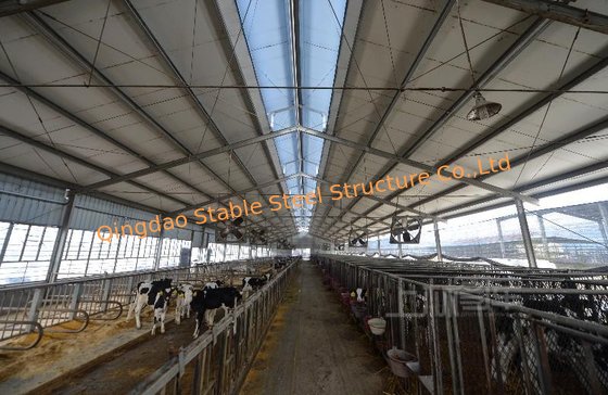 Steel structure cowshed supplier