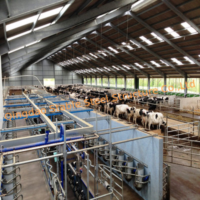 Low cost Cow Feeding Industry Steel Structure Shed with Modern Design supplier