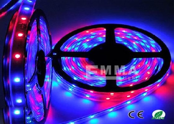 Ktv Decoration 5M/Roll Flexible Led Strip , RGB LED Strip Lights 5M