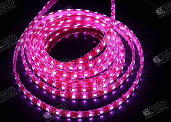 RGB Rope Strip IP65 LED Decorative Lights DC12 / 24V For Holiday