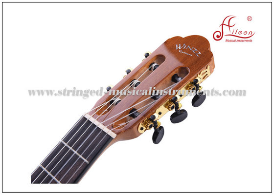 Cutaway Fretted String Instruments Sapeli Plywood Rosewood Fingerboard
