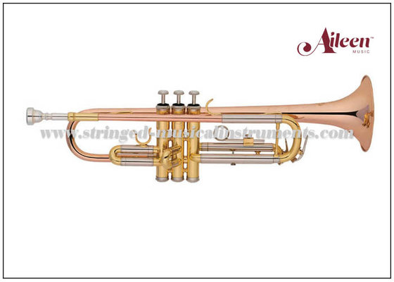 Yellow Brass Musical Instruments Brass Lacquered With Nickel Silver Valves