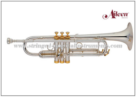 Golden Lacquered Yellow Brass Musical Instruments With Premium case