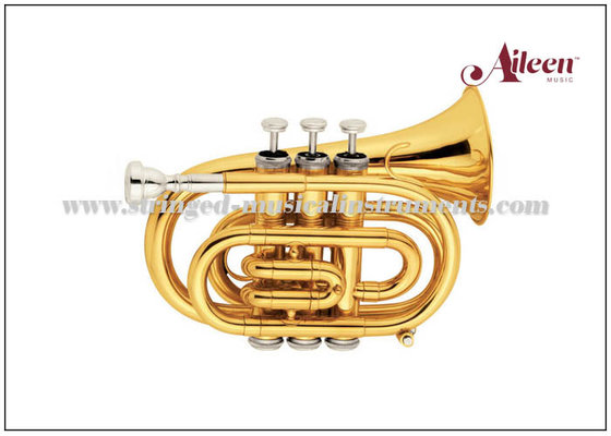 Mini Brass Musical Instruments Bb Key Pocket Trumpet / Student Model Trumpet HTP8504G