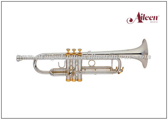 Stainless Steel Piston Style Student Model Trumpet Silver Plated Finished