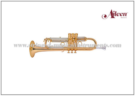 S Style Intermediate Model Brass Musical Instruments Professional TP8398G