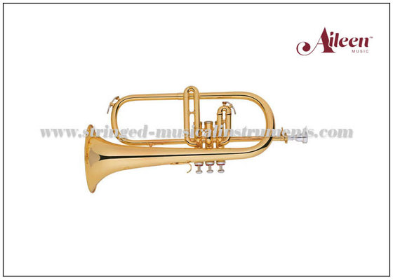 Premium case Brass Musical Instruments / Stainless steel Flugel (FG8610G)