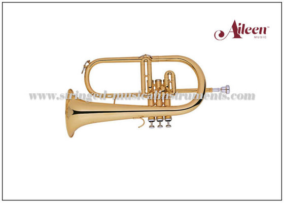 Y style Professional Flugel Brass lacquer With Premium Case (FG8612G)