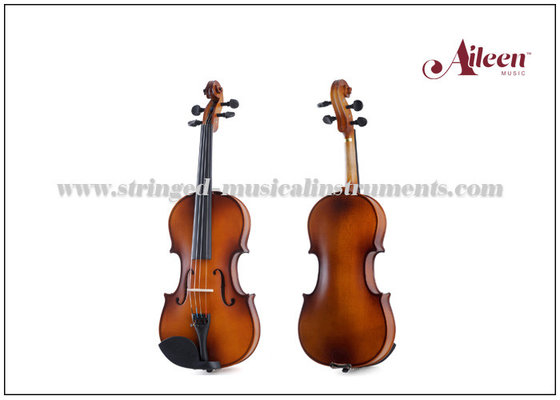 Student Musical Instruments Violin