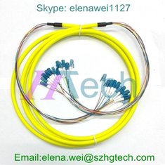 China Indoor 5Meter LC/LC Singlemode 12Core Fiber Optic Patch Cord Fanout 0.9mm supplier