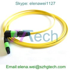 China Yellow Jacket 9/125 Singlemode 12Fiber MPO Fiber Patch Cord supplier