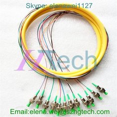 China Singlemode FC/APC Fiber Optic Pigtail 12Cores 0.9mm supplier