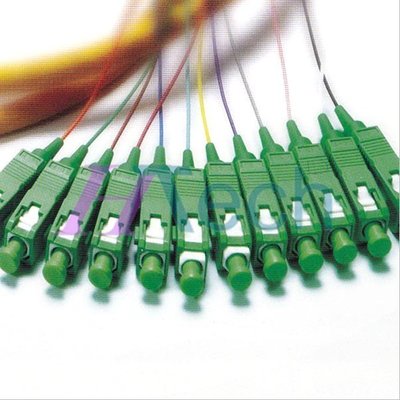 SC/UPC 12 Cores Fiber Optic Pigtail (SC 12 colors fiber patch cord) supplier