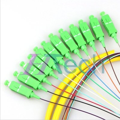 12Core SC/APC Fanout Fiber Optic Pigtail 0.9mm supplier
