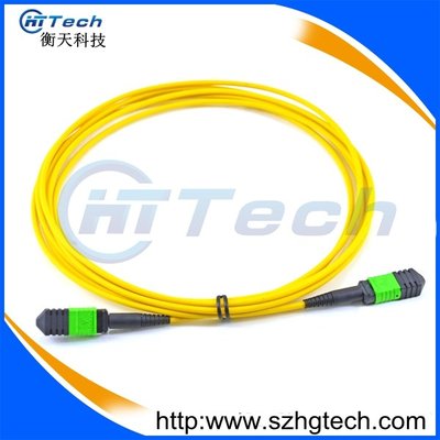 MPO Patch Cord Singlemode/Multimode supplier