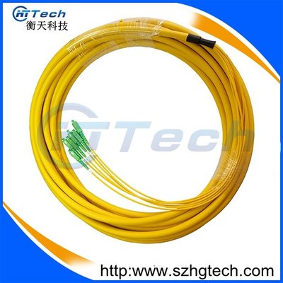 China Manufacturer 12 Cores Bundle 0.9mm 2.0mm Diameter Multi-Fiber Pigtail supplier