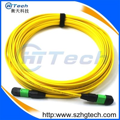 Singlemode MPO Trunk Cables Assemblies supplier