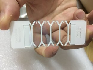 China Male Reproductive Semen Analysis Sperm Counting Slide With 4 Chamber supplier