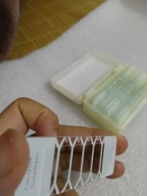 Cellvision Makler Sperm Counting Chamber Slide For Human Semen Analysis supplier