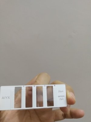 IVF Veterinary Reproductive Swine Boar Sperm Counting CASA Leja Slide With 4 Chamber supplier