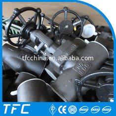 Alloy 20 API602 socket weld globe valve