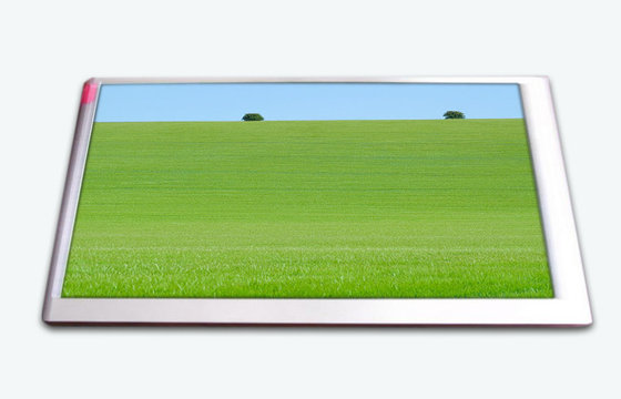 8" Anti Glare CCFL TFT PVI LCD Panel 480X220 For Visual Doorbell PW080XU2