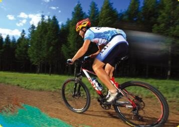 Tyre Sealant Malaysia Non-flammable Tyre Sealant for Bicycle 130ml