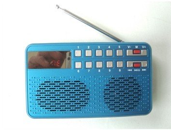 USB host/TF card speaker with radio function      