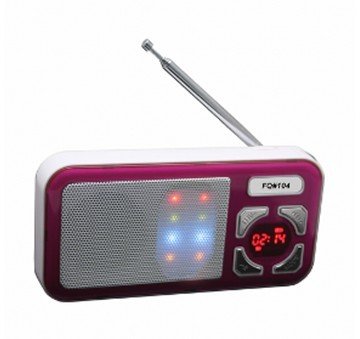 Custom High Fidelity Horn USB Card and LED Rechargeable Mini Speakers with  FM Radio