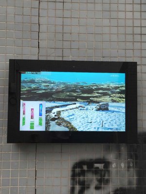 Dedi 43 인치 교회 입구를 위한 옥외 높은 광도 수평한 LCD 스크린