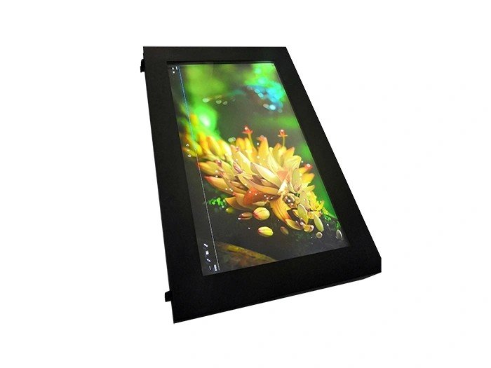 반대로 섬광 옥외 잘 고정된 LCD Signage Dedi 43 인치 HD 높은 Brigtness