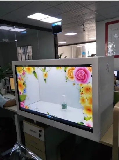 D 이하 공용영역 투명한 TFT LCD 디스플레이 전시회/광고를 위한 55 인치