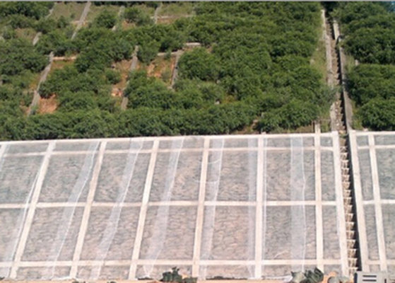 Transparent Spunbond Non Woven Landscape Fabric for Agriculture Plant Cover