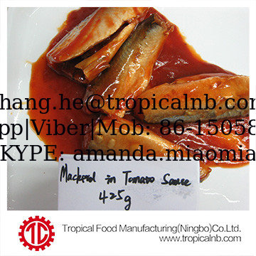425g Canned mackerel in tomato sauce from Chinese