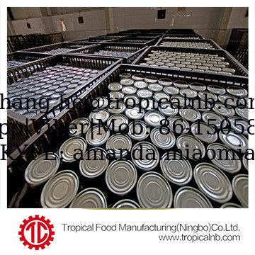 canned mackerel fillet in oil 1000g