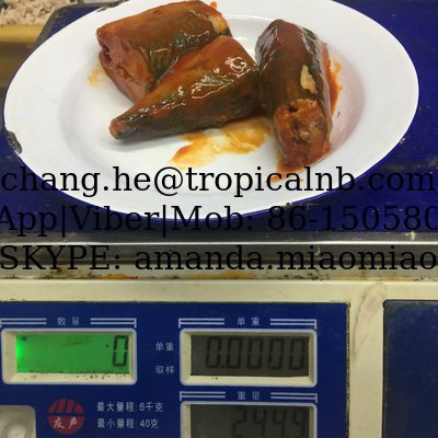 Canned mackerel in tomato sauce