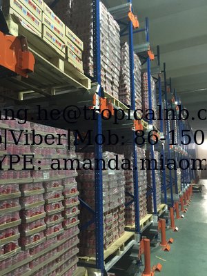 425g Good sale for Canned sardine in tomato sauce