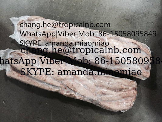 Frozen skipjack tuna loins