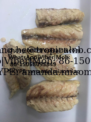Canned mackerel loins in soybean oil