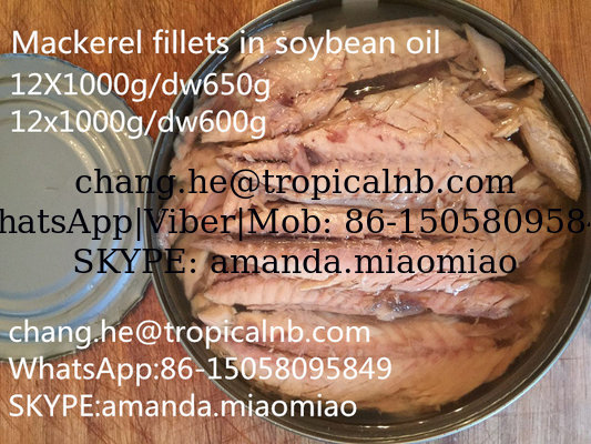 canned mackerel fillet in oil 1000g