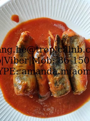 Best sardines in tomato sauce 50X155g
