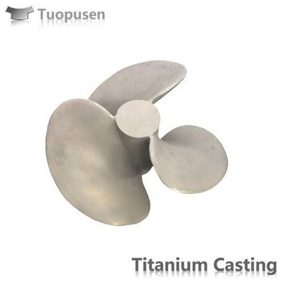Lost Wax Titanium Casting Part