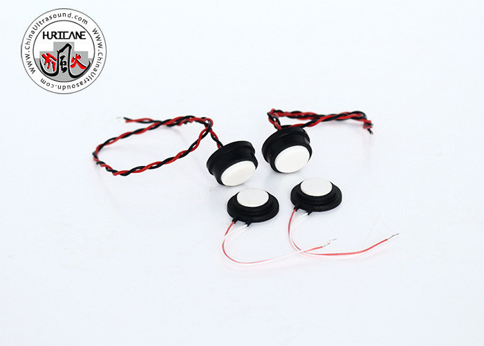 TG020012 200KHZ Ultrasonic Transducer For Gas Flow Meter  -65dB min