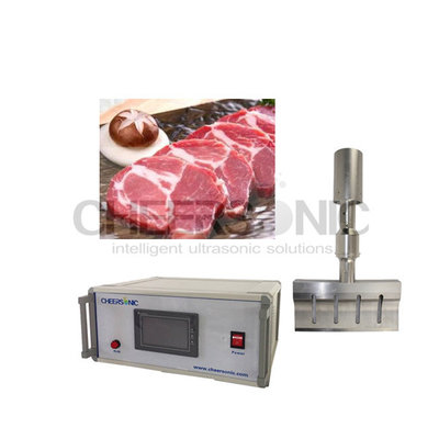 Easy Operate Ultrasonic Cutting Tool For Meet / Fresh Vegetables
