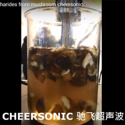 Polysaccharides Ultrasonic Extraction Equipment , Ultrasonic Degassing Equipment