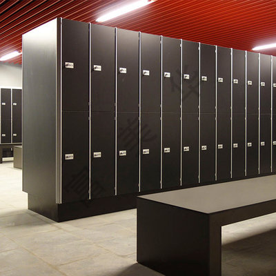 Factory Direct Sale Simply Water Resistant Locker
